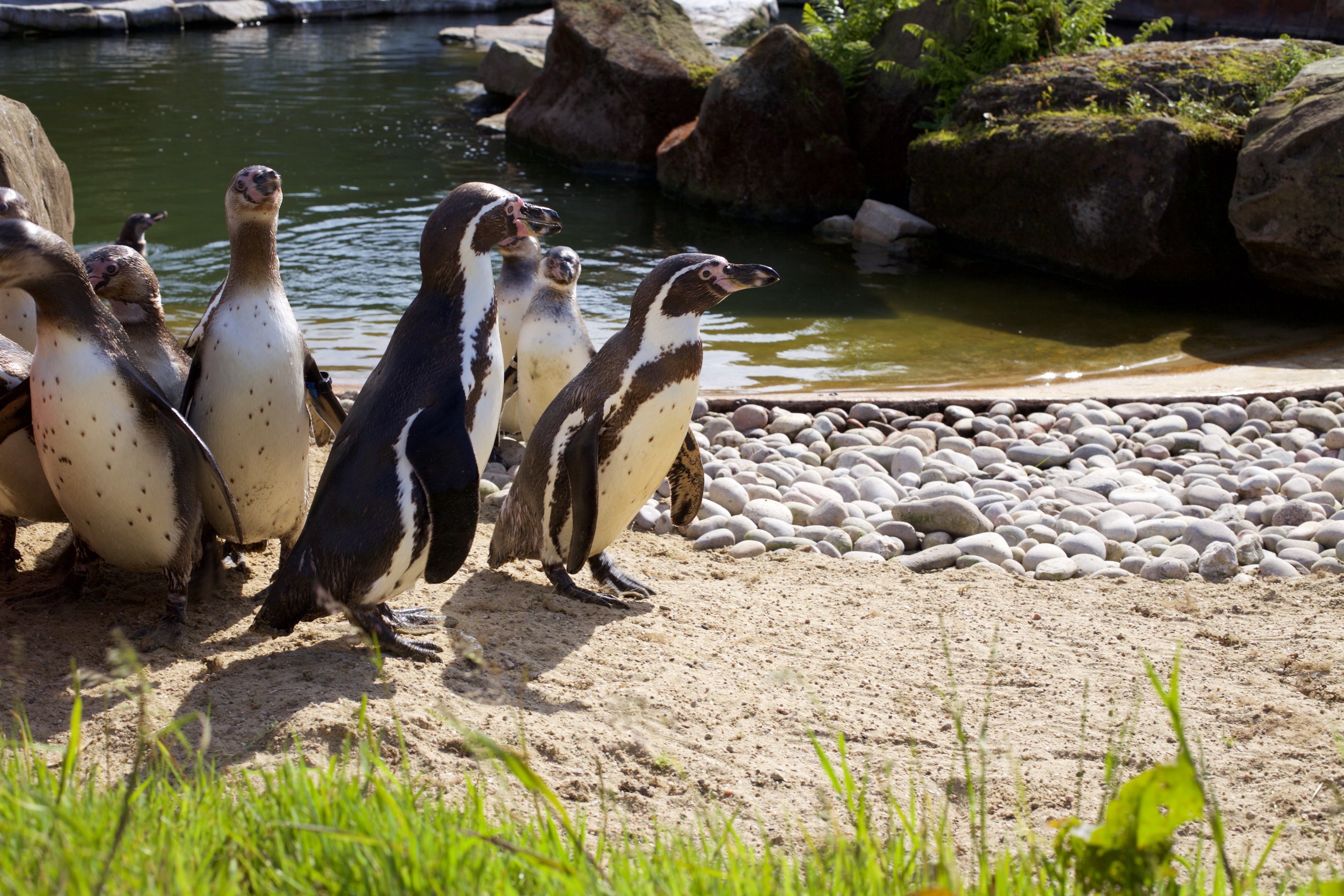 Things To Do - Ford Wetley Cottage