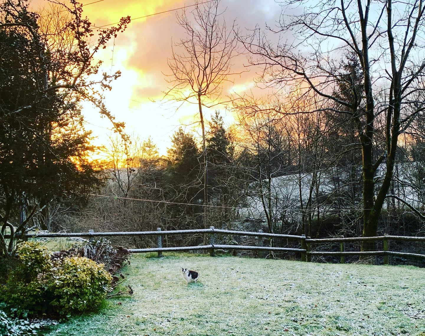 The Grounds - Ford Wetley Cottage