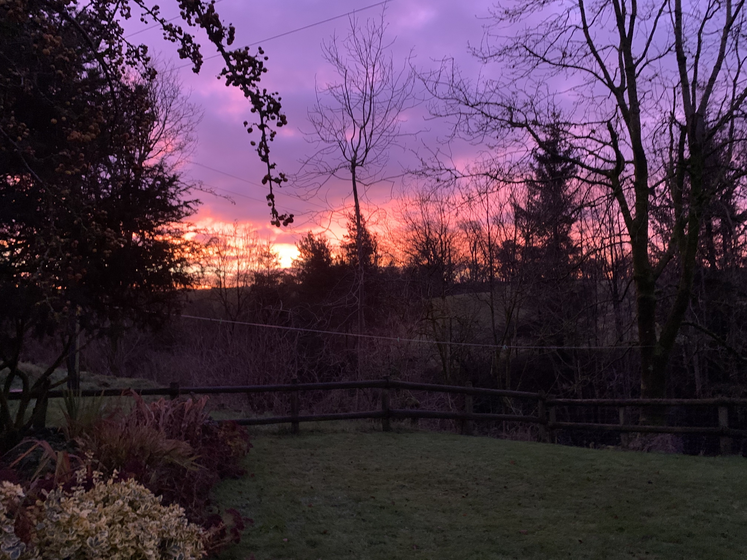 Local Wildlife & Farm Animals - Ford Wetley Cottage