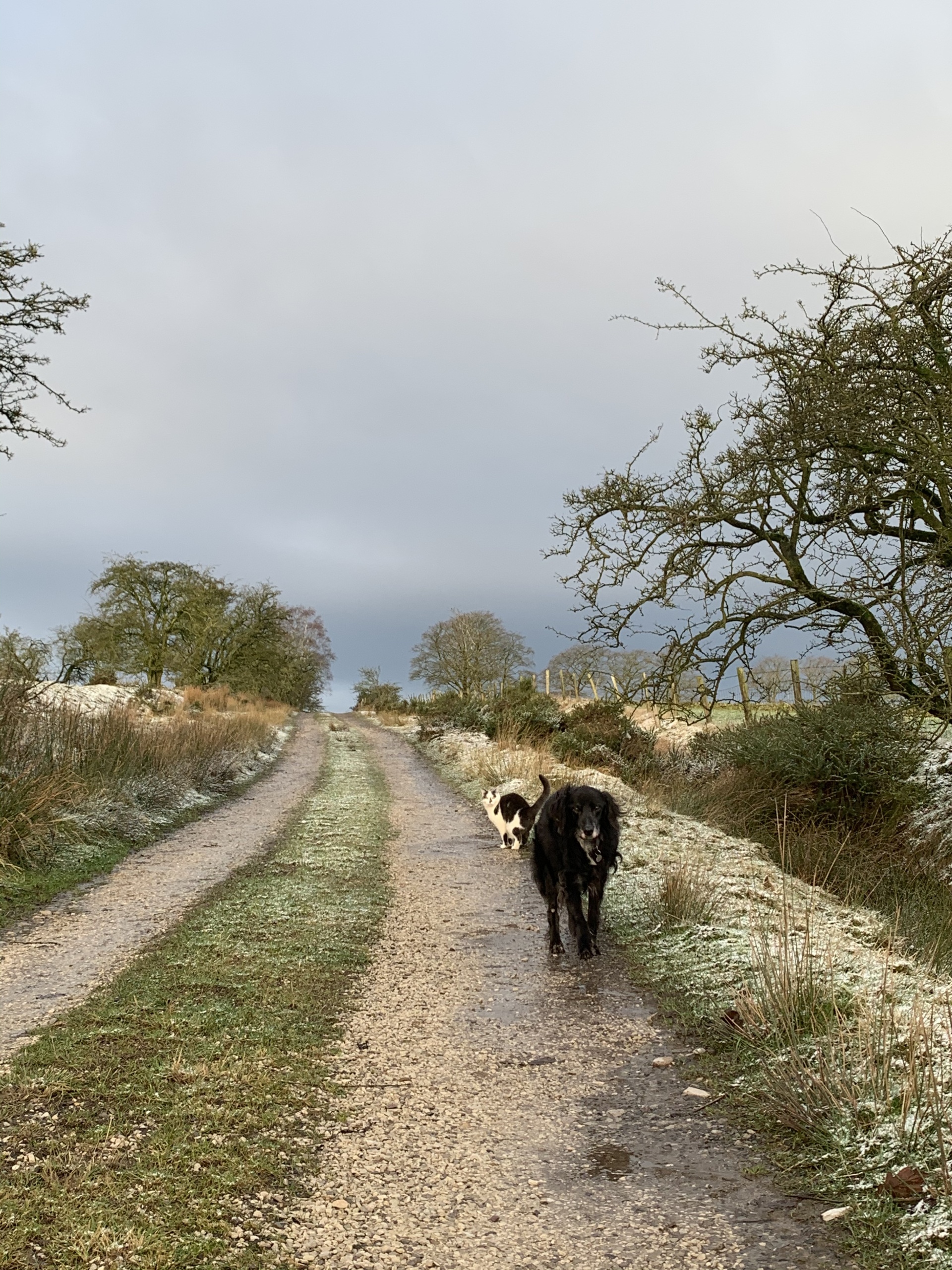 Local Wildlife & Farm Animals - Ford Wetley Cottage